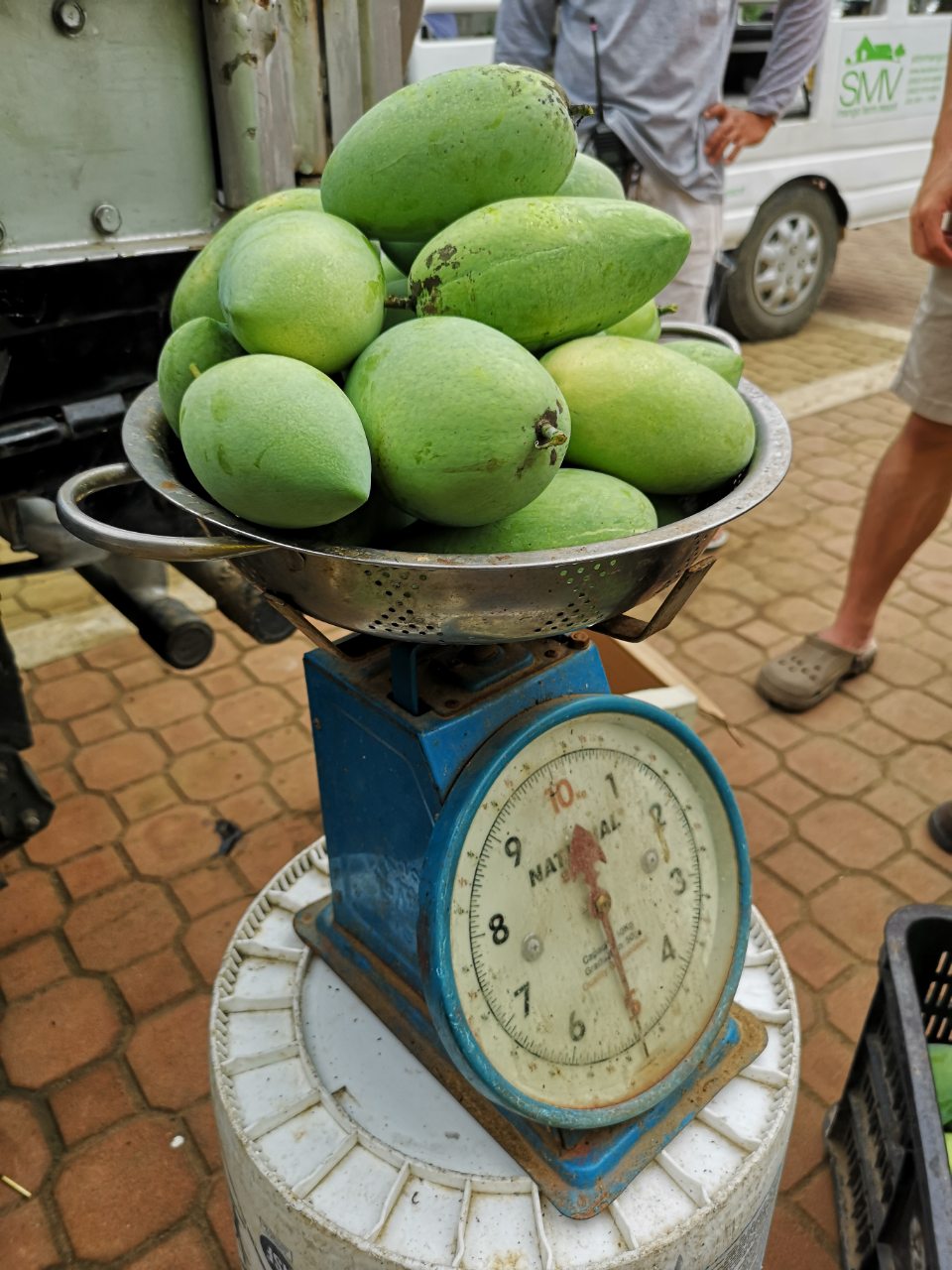 Day trip from Manila: SMV Mango Farm Resort review - Goldie Goes Global